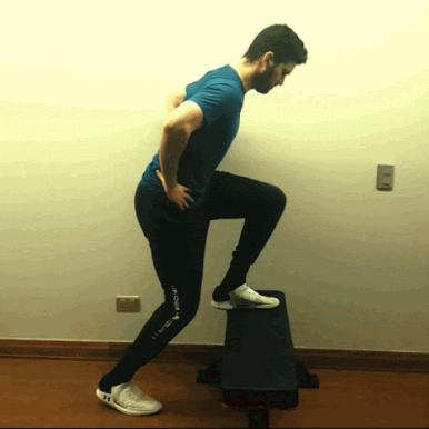 Salto unilateral en cajon o step jump | Institute